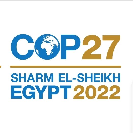 エジプトのCOP27は警察国家のグリーンウォッシング？